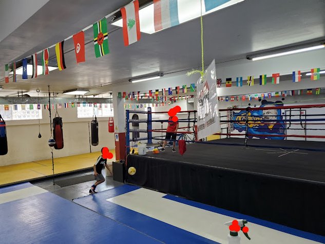 Boxing Gyms in Chicago, Illinois | Find Local Boxing Training